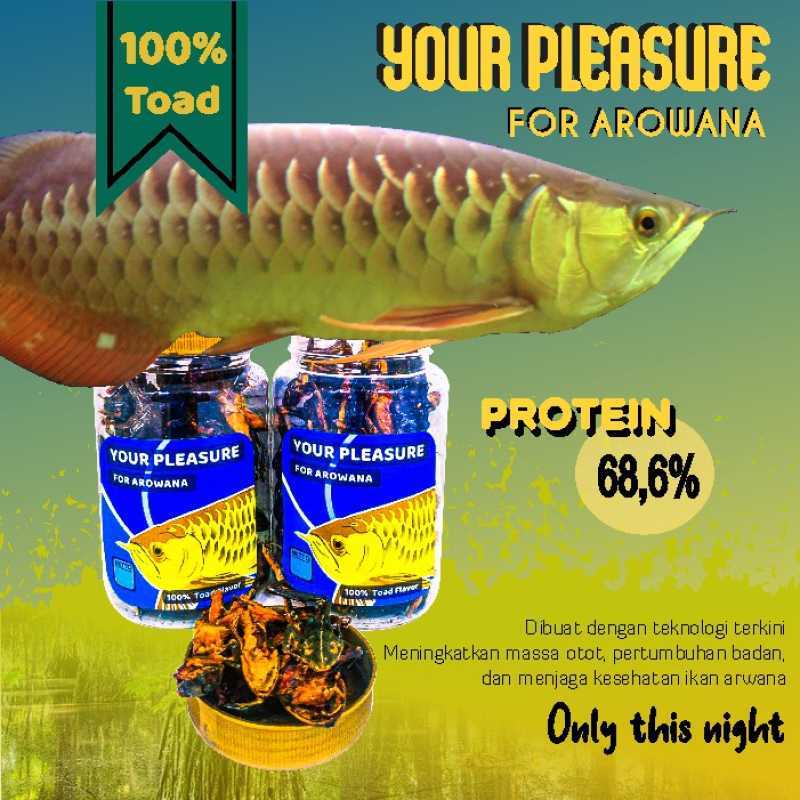 Ikan Arwana Kuning