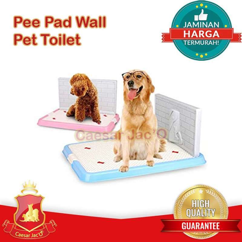 Jual Toilet Anjing Besar Terdekat 🏷️ Harga Grosir Murah Terupdate Hari ...