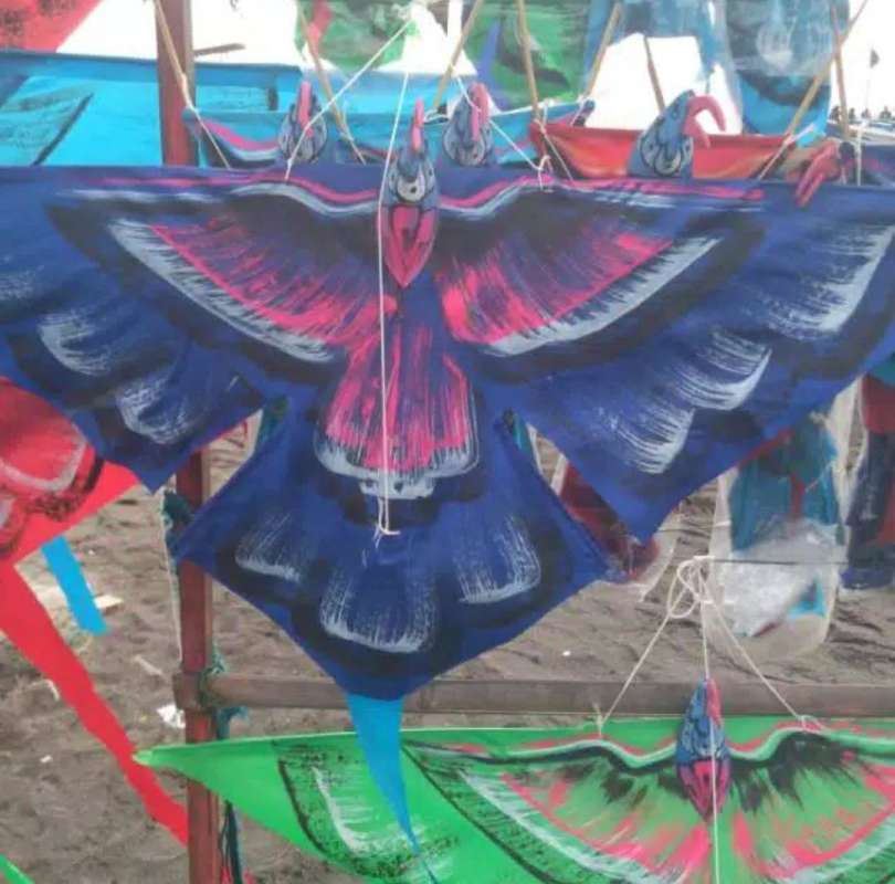 Jual layangan pantai model burung di Seller Cahayaabadi - Parangtritis ...