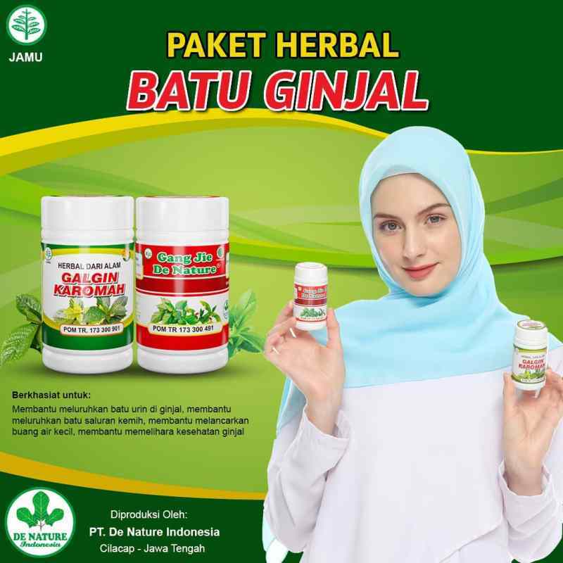 Jual Obat Kencing Batu, Batu Empedu, Batu Ginjal, Ginjal Bengkak, Ginjal Bocor, Gagal Ginjal ...