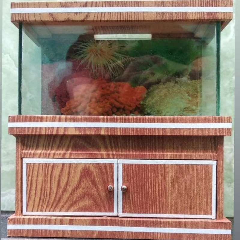 Jual Aquarium Mini + free pasir & lampu di Seller MOMPRAY - Mekar ...