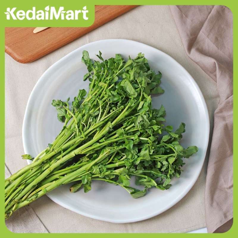 Jual Selada Air 200 Gram / Daun Selada Air / Selada Air Sayuran Segar ...