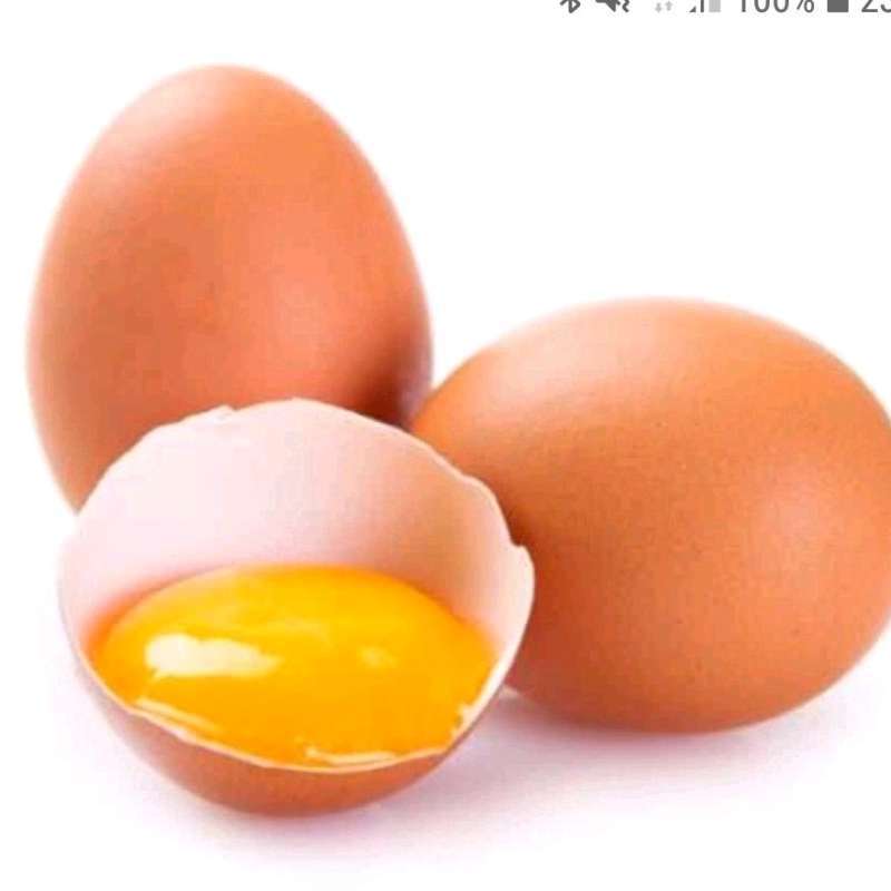 Promo Telur Ayam Negeri 1kg Diskon 24% di Seller Cahaya agen telur ...