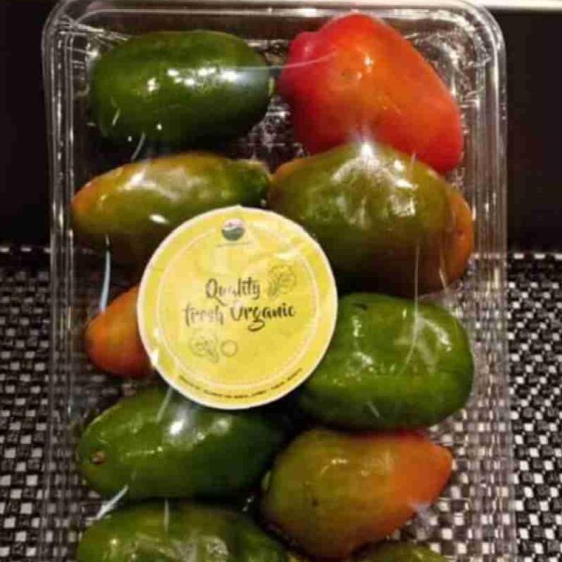 Jual CABE HABANERO LOKAL ORGANIC 100GR PACK di Seller Growell ...