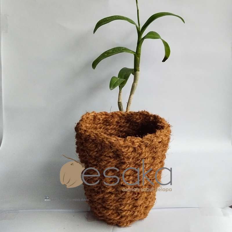 Jual pot bunga anyam sabut kelapa diameter 15cm tali premium pot anyam ...