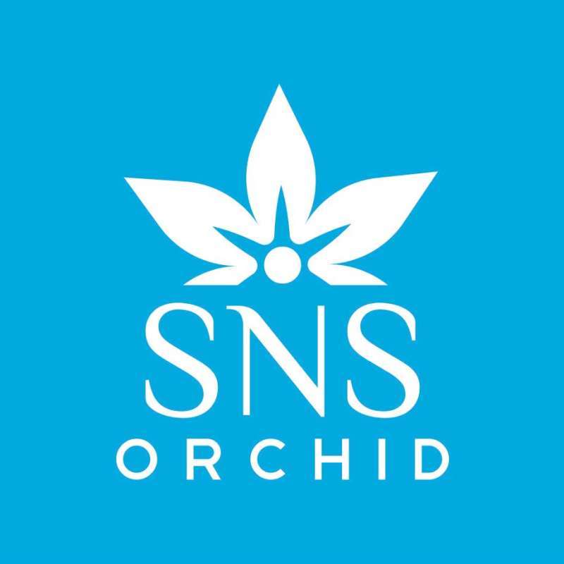 Jual Seedling Anggrek Vanda Hybrid Bibit Bunga Hibrida Sedling Hibrid Sleding Bisa Pilih Warna ...