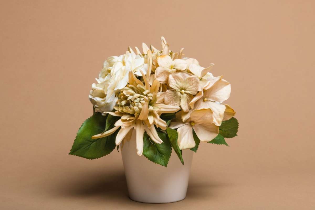 Jual Background Paper Kertas Polos Seamless Studio 2.7x11M 25 Beige di ...