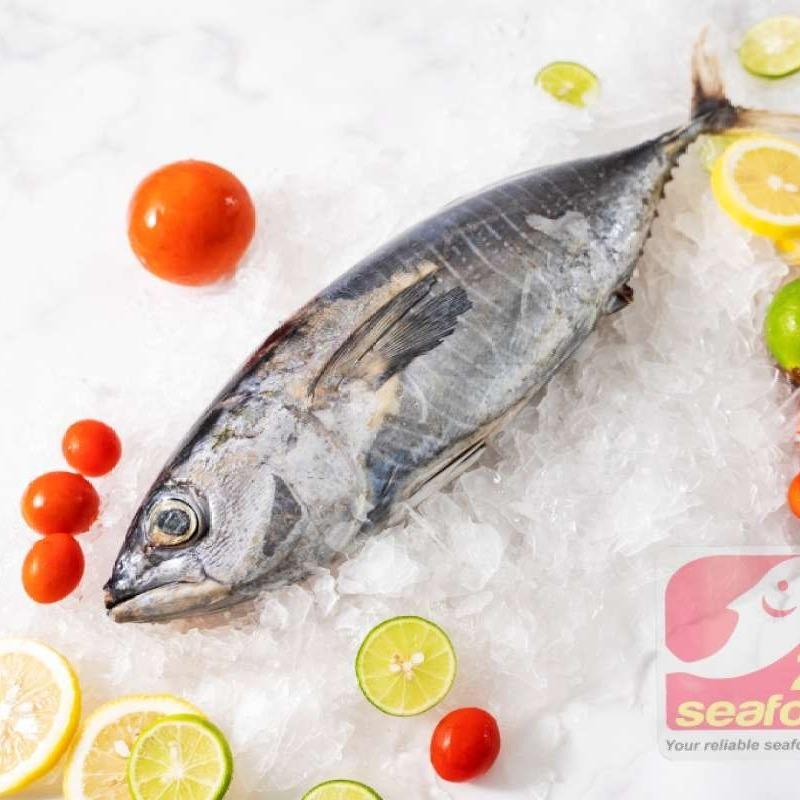 Jual Ikan Baby Tuna Utuh Frozen - 22 Seafood Di Seller 22 Seafood ...