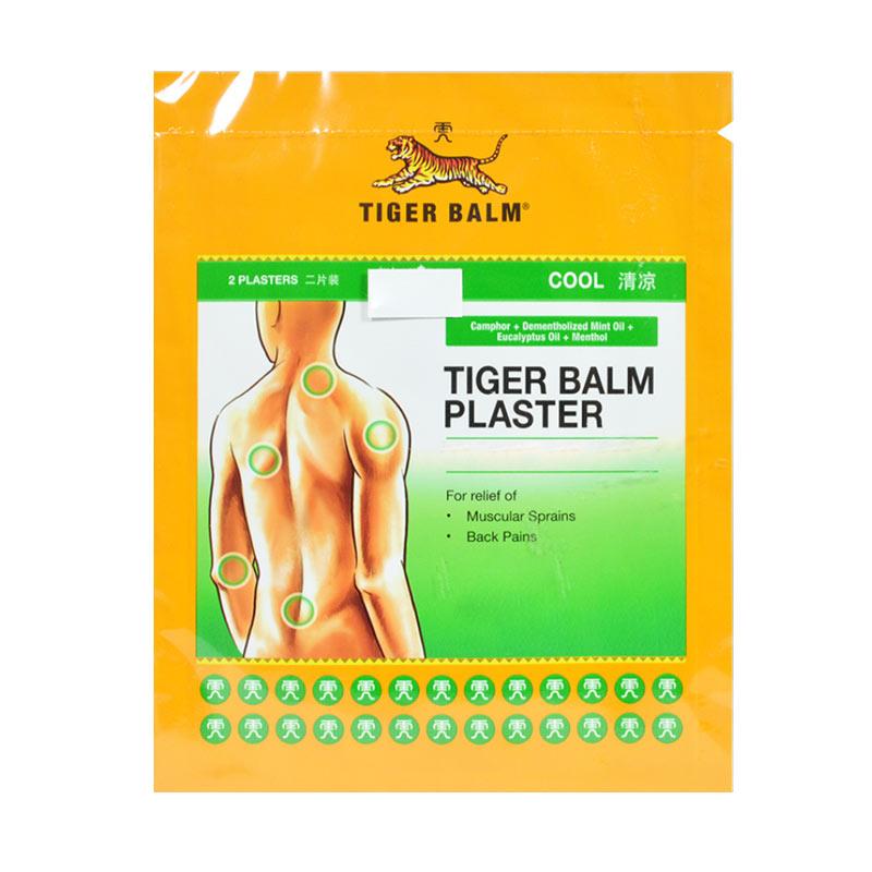 15 Rekomendasi Koyo Cabe VS Salonpas yang Tepat untuk Nyeri Otot dan ...