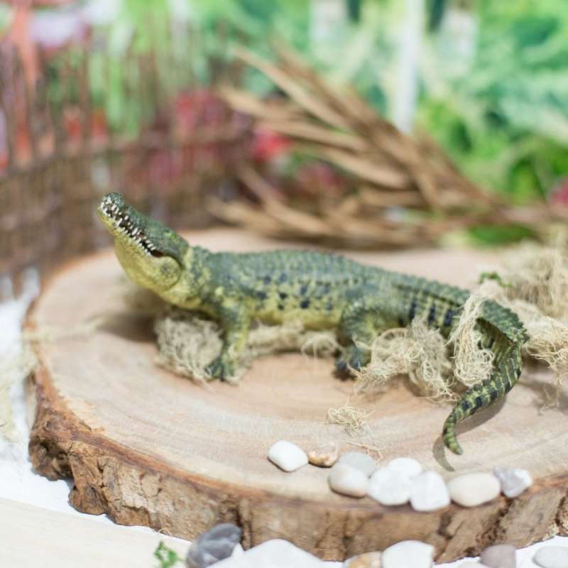 Jual Mojo Fun Crocodile with Articulated Jaw - Buaya 87162 - Wildlife ...