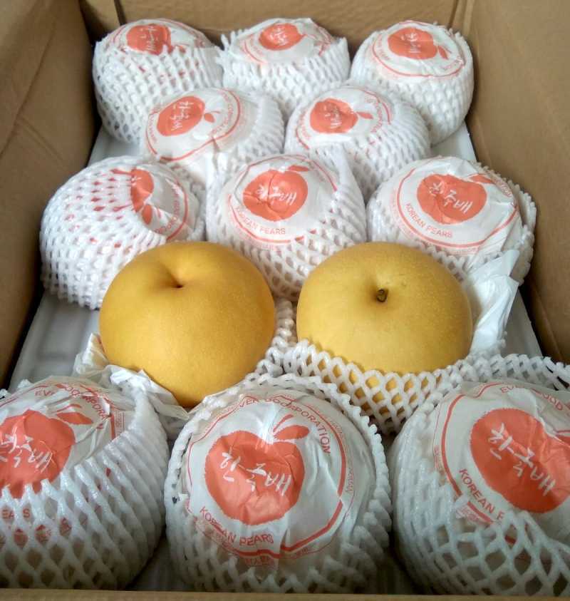 Promo PEAR KOREA SINGO PREMIUM KOREAN PEARS FRESH IMPORT PER BUAH ...