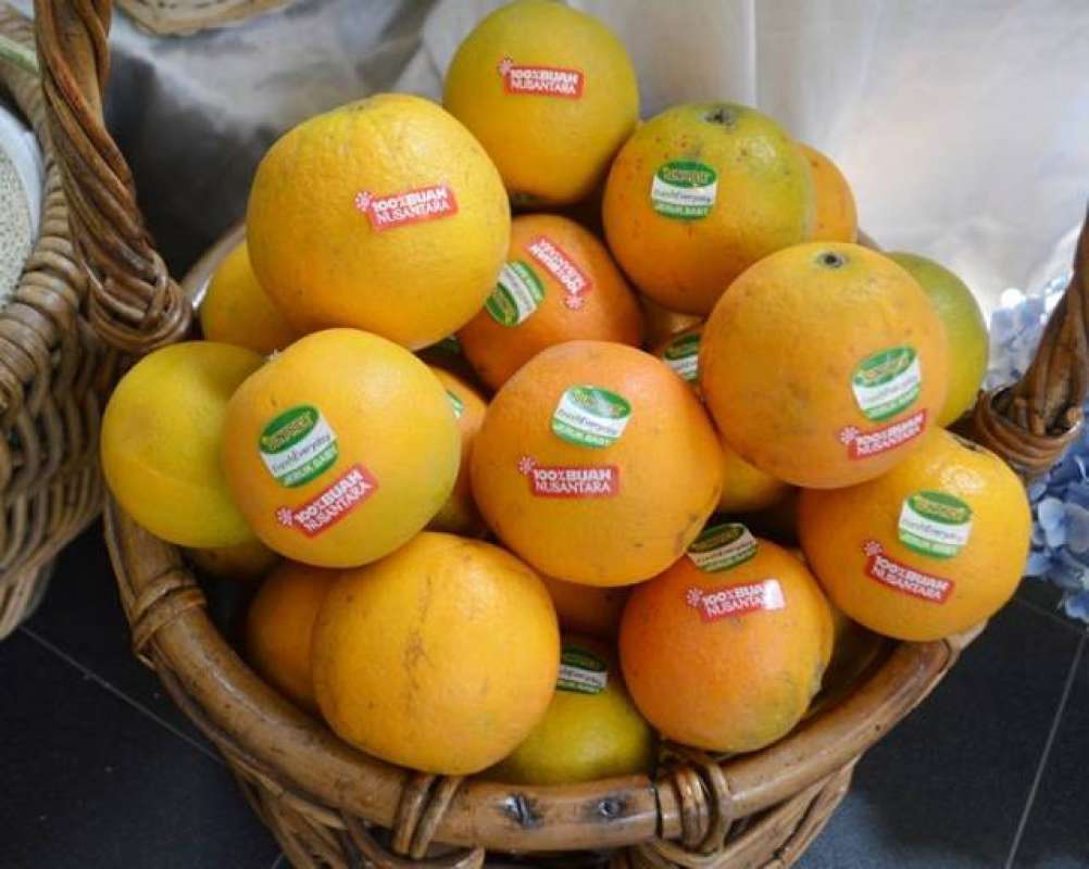 Jual Jeruk Baby Java Sunpride/kg Di Seller Fruita_holic - Cengkareng ...