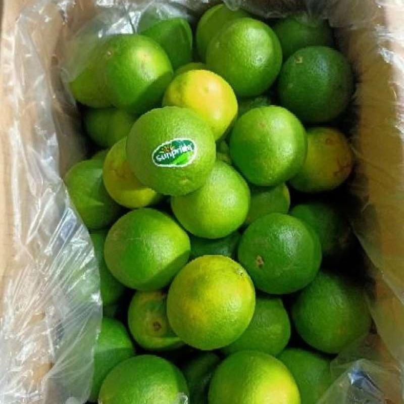 Jual Jeruk Baby Java Sunpride/kg Di Seller Fruita_holic - Cengkareng ...