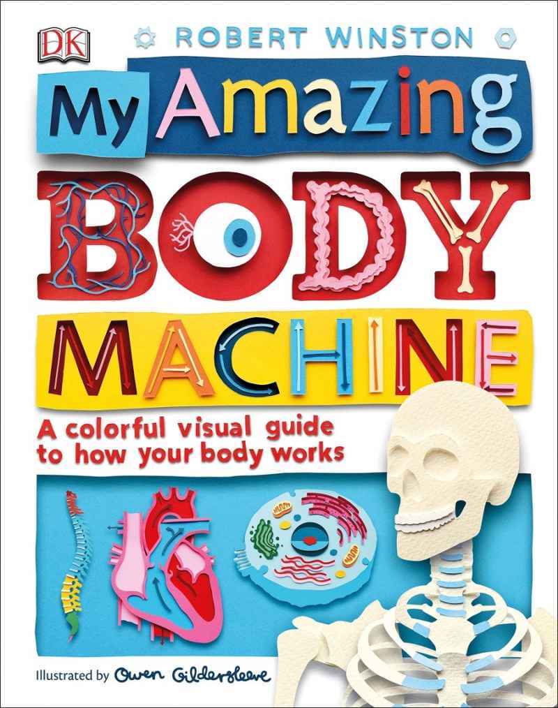 Jual MY AMAZING BODY MACHINE: A COLORFUL VISUAL GUIDE TO HOW YOUR BODY ...