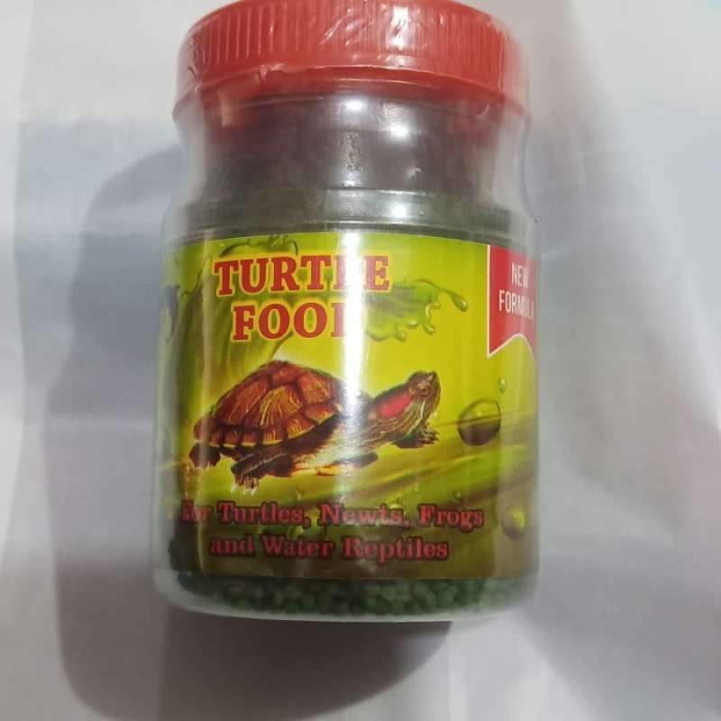 Jual Lily Turtle Termurah - Harga Grosir Terupdate Hari Ini | Blibli