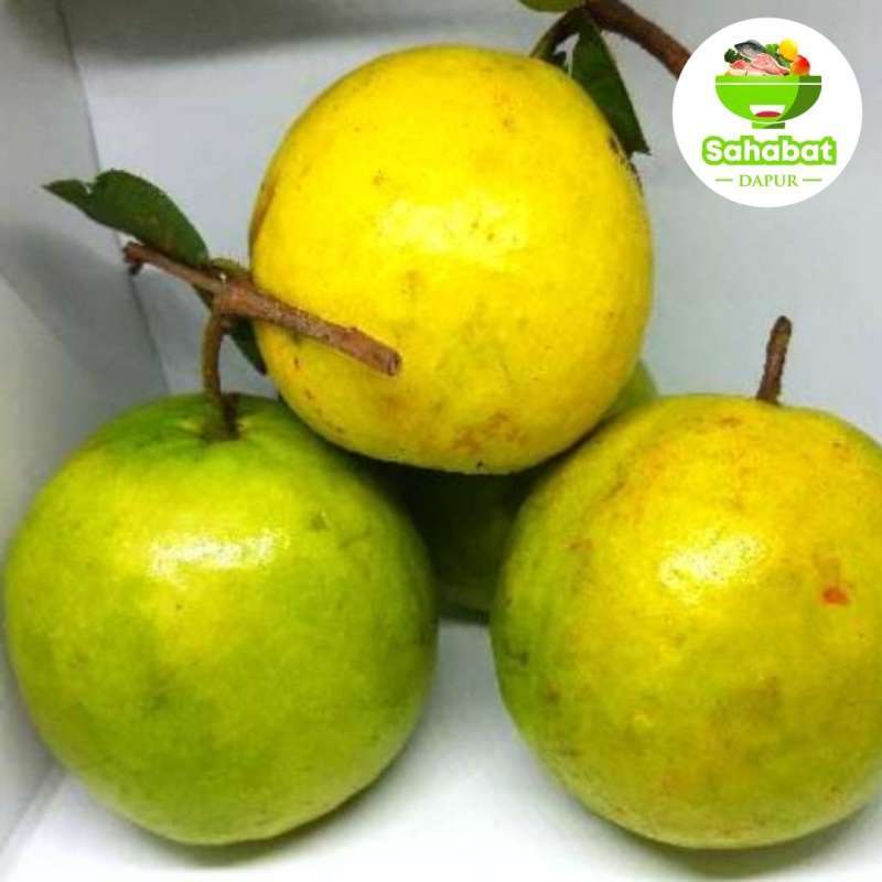 Jual Harga Jambu Biji Merah Per Kg Terbaru - Harga Promo Januari 2024 ...