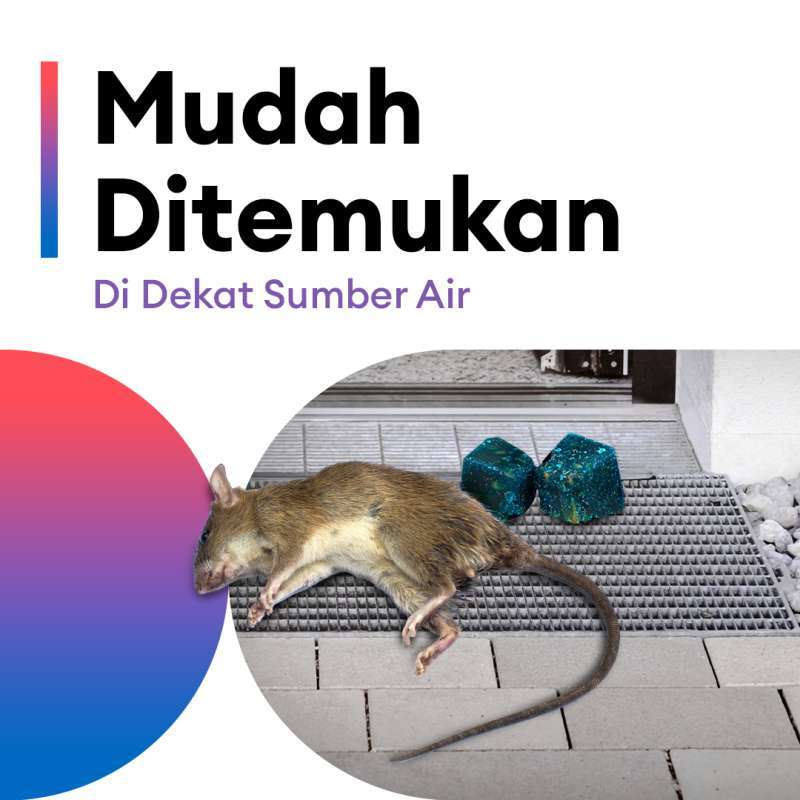 Jual Bayer Racumin Waxblock Racun Tikus [0,0375 Bb/ 50 G/ 5 Pcs] Di ...