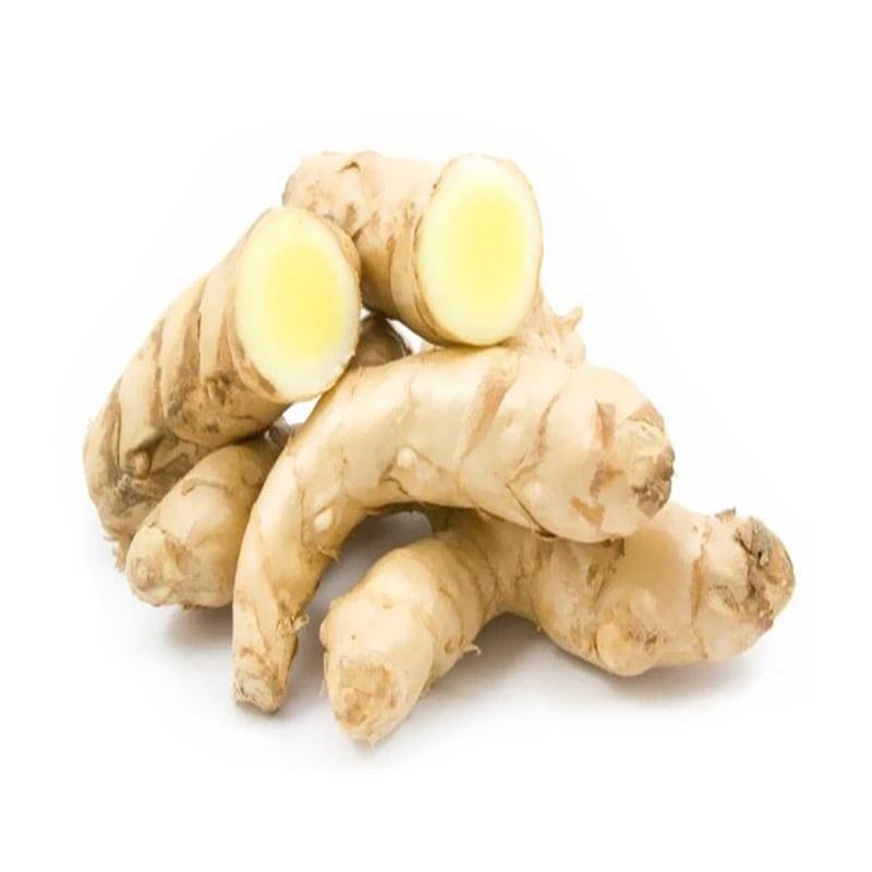 Jual Herbal Temu Putih Segar Premium Jamu [1 kg] di Seller 3Agrosir ...