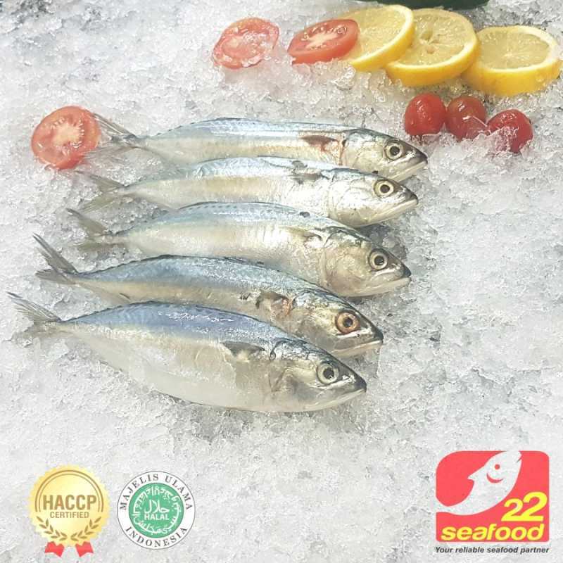 Jual Ikan Kembung Banjar 1kg - 22 Seafood di Seller 22 Seafood Official ...