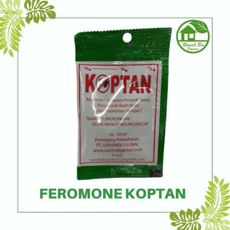 Promo KOPTAN - Efektif Mengatasi Hama Penggerek Buah Kopi - Koptan Saja ...