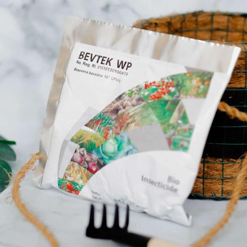 Jual Bevtek - Beauveria Bassiana Pestisida Organik Efektif Melindungi ...