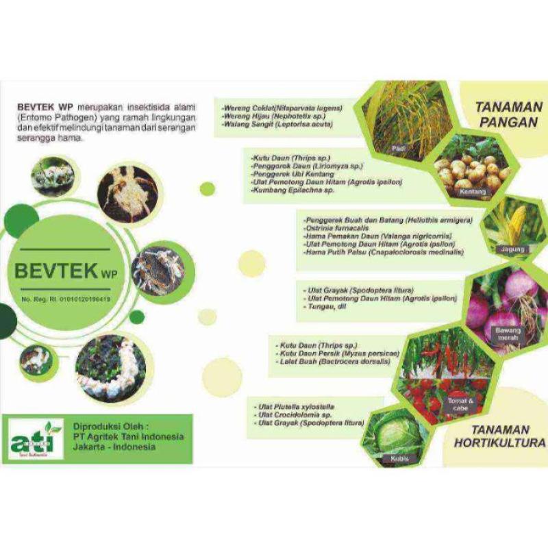 Jual Bevtek - Beauveria Bassiana Pestisida Organik Efektif Melindungi ...