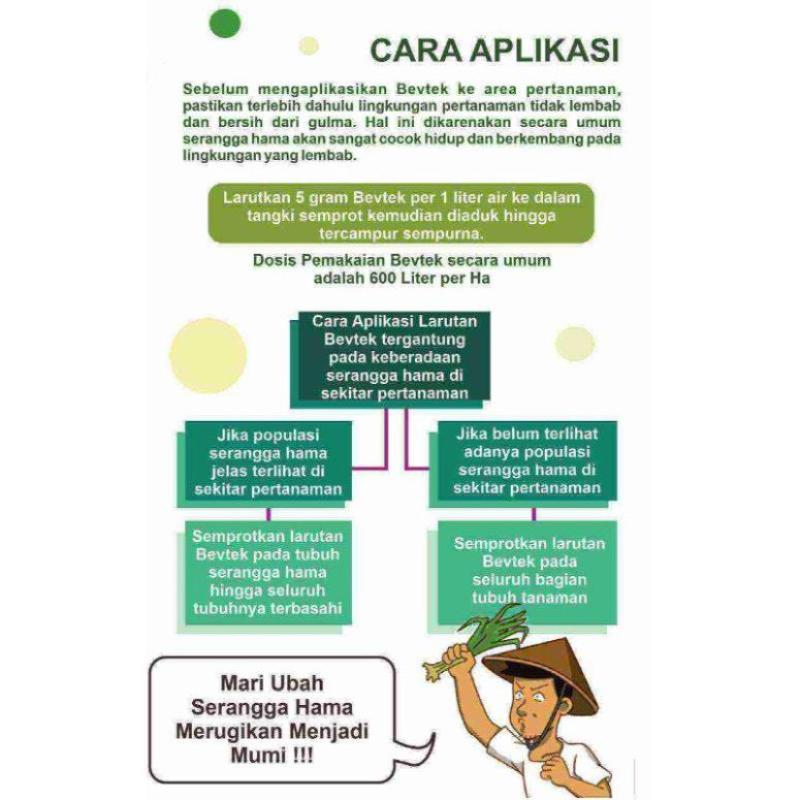 Jual Bevtek - Beauveria Bassiana Pestisida Organik Efektif Melindungi ...