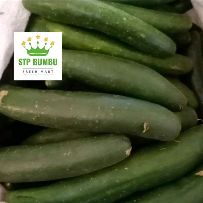 Jual Timun Jepang Kyuri Segar Fresh 1kg Halal di Seller STP BUMBU ...