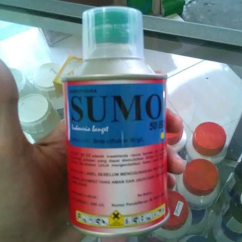 Jual Obat Hama Ulat grayak dan Lalat Buah Insektisida SUMO 50EC 500ml ...