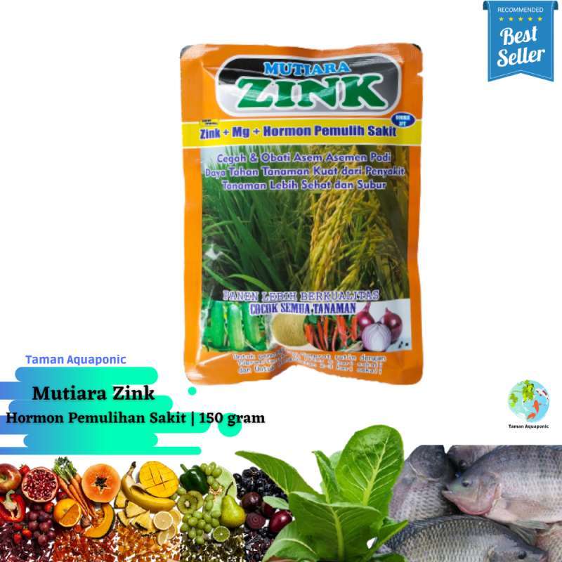 Cara Mengatasi Tanaman yang Layu dan Menguning - Blibli Friends