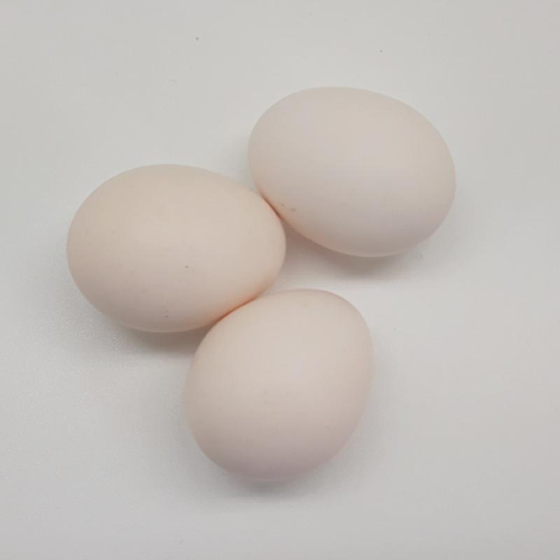 Jual Sajira Farm Telur Ayam Kampung Organik Selenium (15 Butir) Halal ...