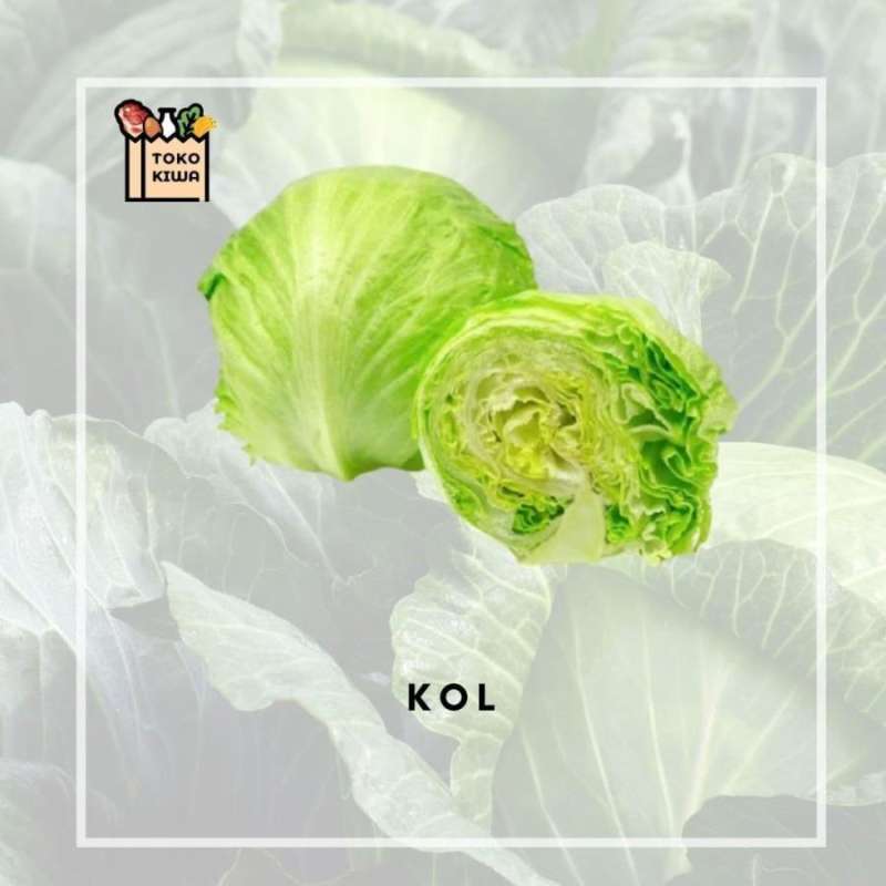 Jual Sayur Kol / Cabbage / Kol putih super fresh Kemasan 1 kg Halal di ...