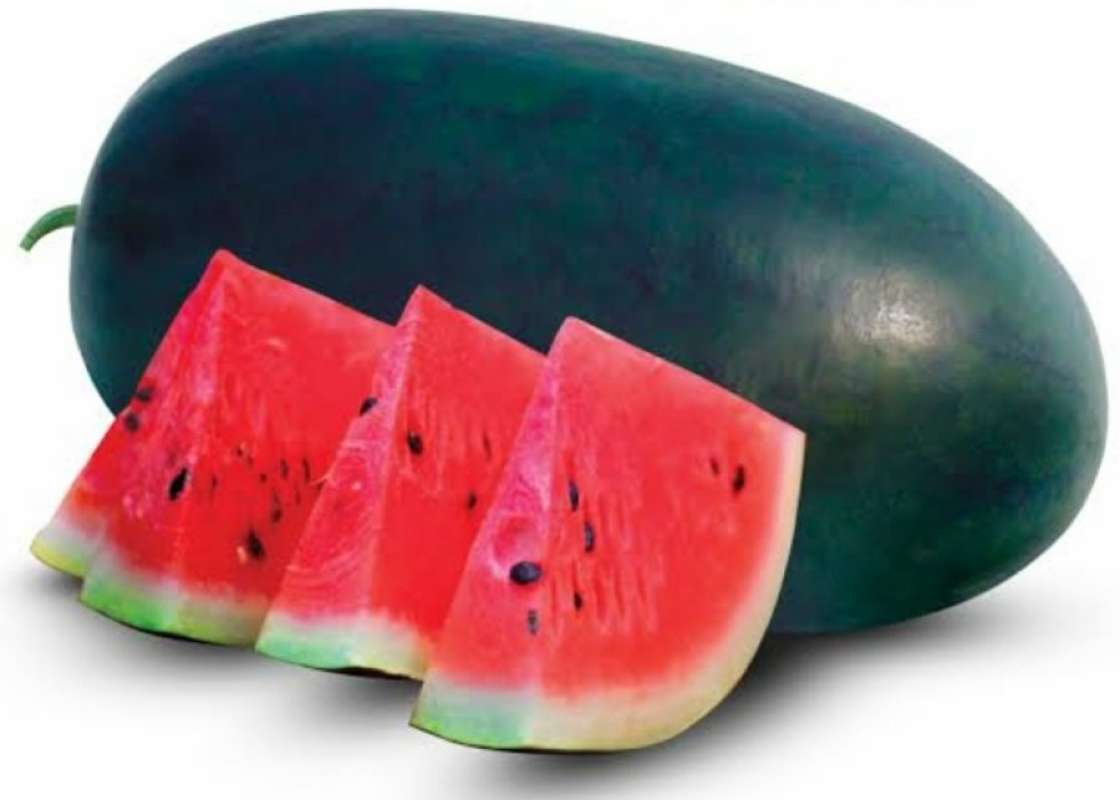 Jual Hasilsumberalam Buah Semangka Inul Lonjong Isi Merah / Long Oval Watermelon 1 Pcs Halal Di ...