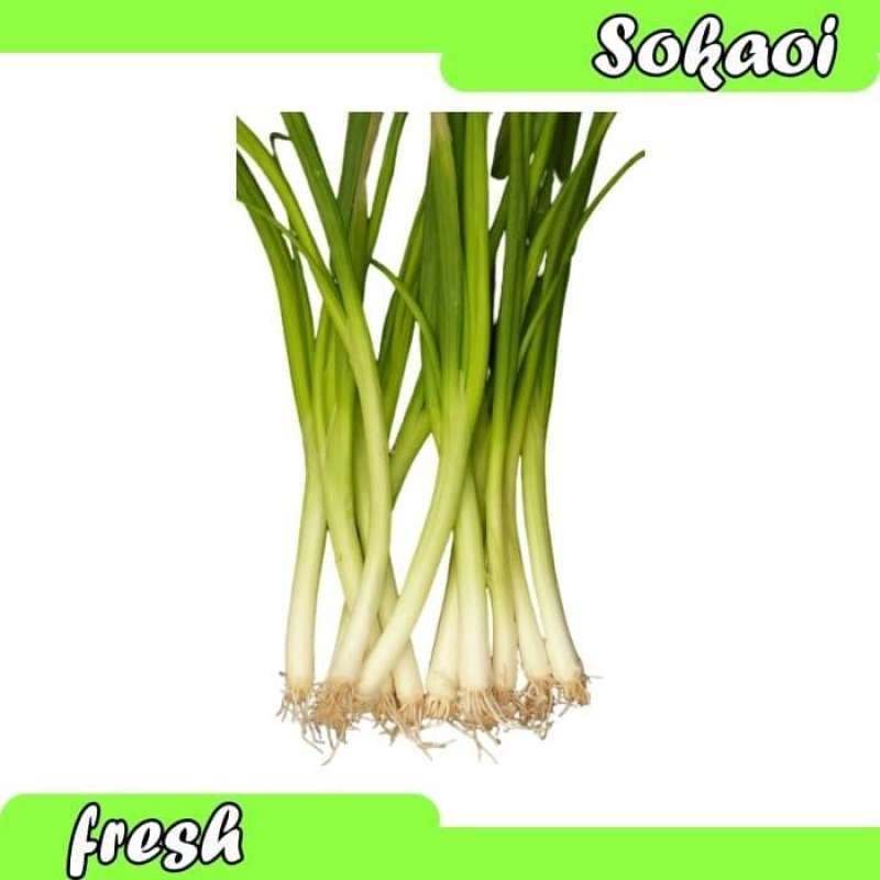 Jual BAWANG PREI BUMBU DAPUR REMPAH SAYUR SEGAR SAYURAN SEGAR Halal di ...