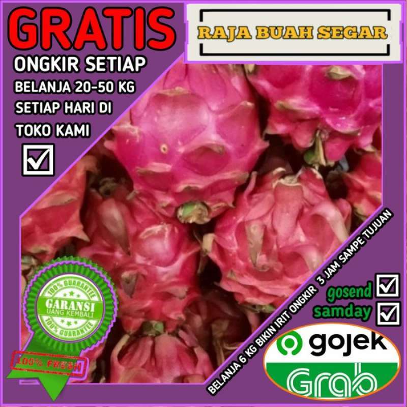 Promo buah naga segar merah manis 1Kg Diskon 30% di Seller RAJA BUAH ...