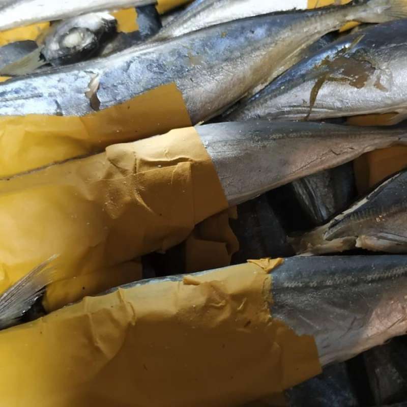 Jual Pindang Ikan Deles Segar Satu Paket Isi 3-ekor Di Seller Suplier ...