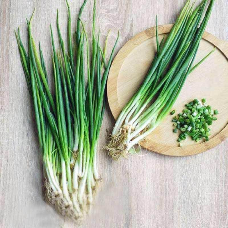 Jual Rumah Sayur Jakarta Selatan Daun Bawang Kecil Cung [250 g] di ...