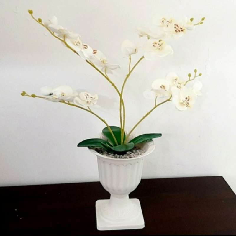 Promo Bunga Anggrek Hias Bunga Pajangan Pot Bunga Hiasan Meja Kantor ...