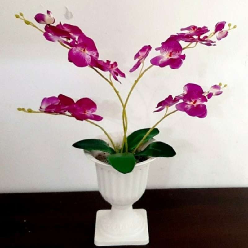 Promo Bunga Anggrek Hias Bunga Pajangan Pot Bunga Hiasan Meja Kantor ...