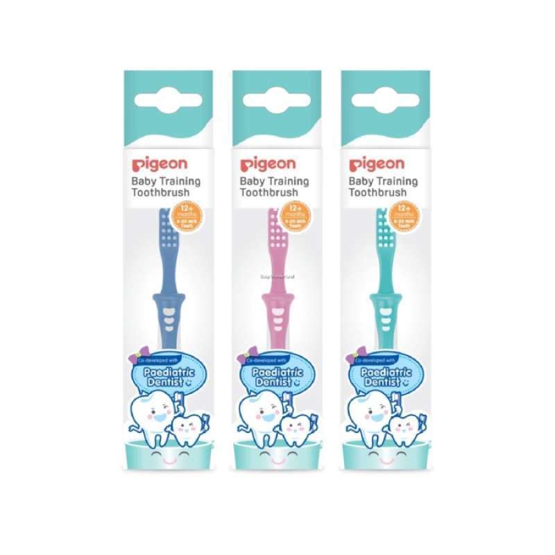 Promo Pigeon Training Toothbrush Lesson 3 Tooth Brush Step 3 Green ...