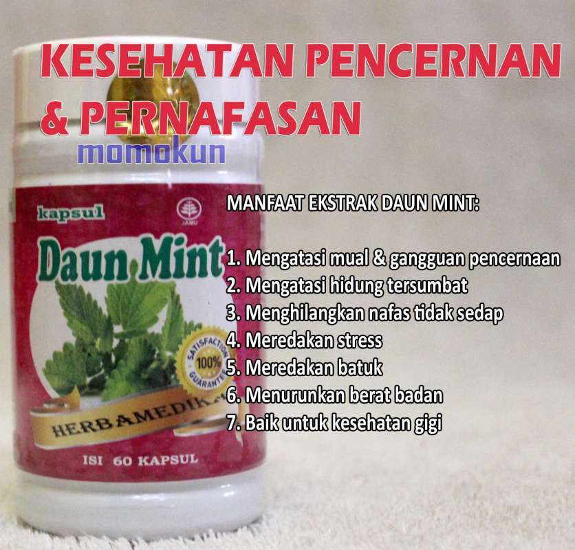 Jual Obat Herbal Pencernaan dan Pernafasan Ekstrak Daun Mint di Seller ...