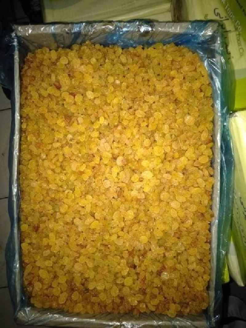 Jual KISMIS SIMIN 10kg Kuning Manis Oleh Oleh Haji di Seller Istana ...