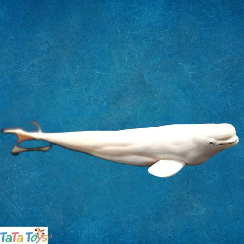 Promo NEW CANNA ANIMAL - BELUGA WHALE - MAINAN ACTION FIGURE PAUS ...