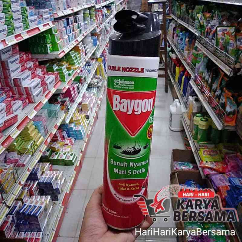 Jual ANTI NYAMUK INSEKTISIDA BAYGON AEROSOL CHERRY BLOSSOM 600ML - Red ...