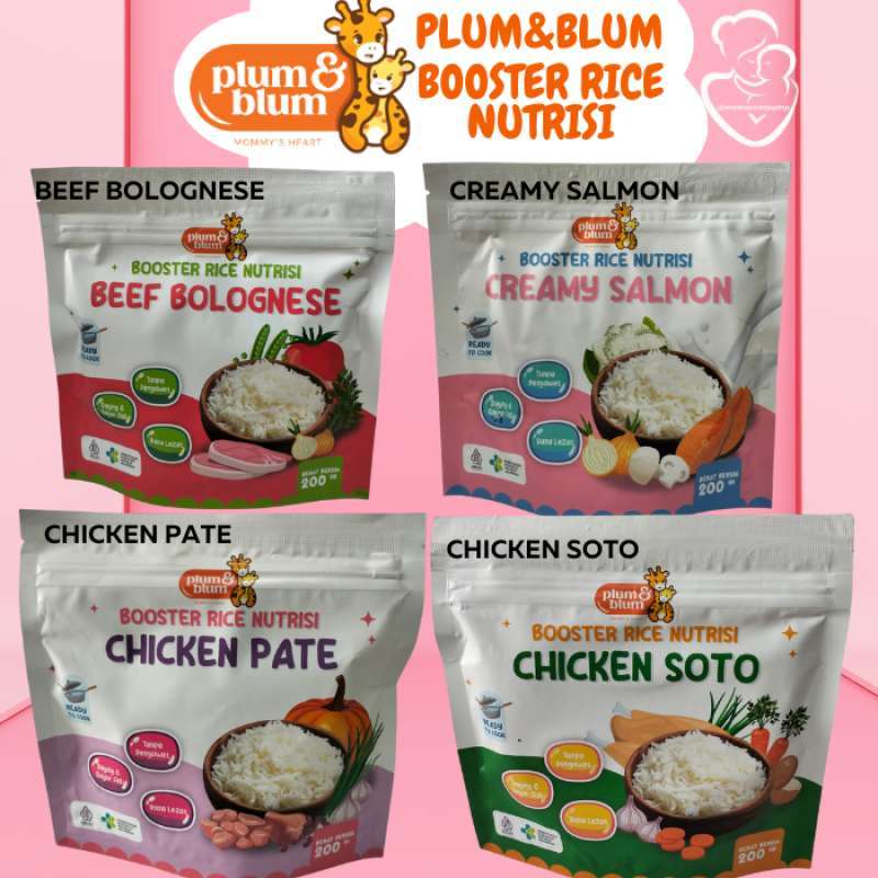 Jual Plum And Blum Booster Rice Nutrisi Mpasi Beef Chicken Salmon Di ...