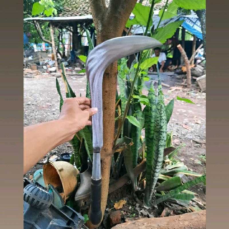 Jual Sabit Gagang Panjang Original Murah - Harga Diskon Juli 2024 ...