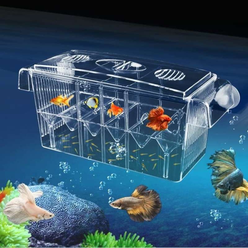 Jual Breeding Box Internal XL Guppy Molly Fish Box Acrylic Aquarium di ...