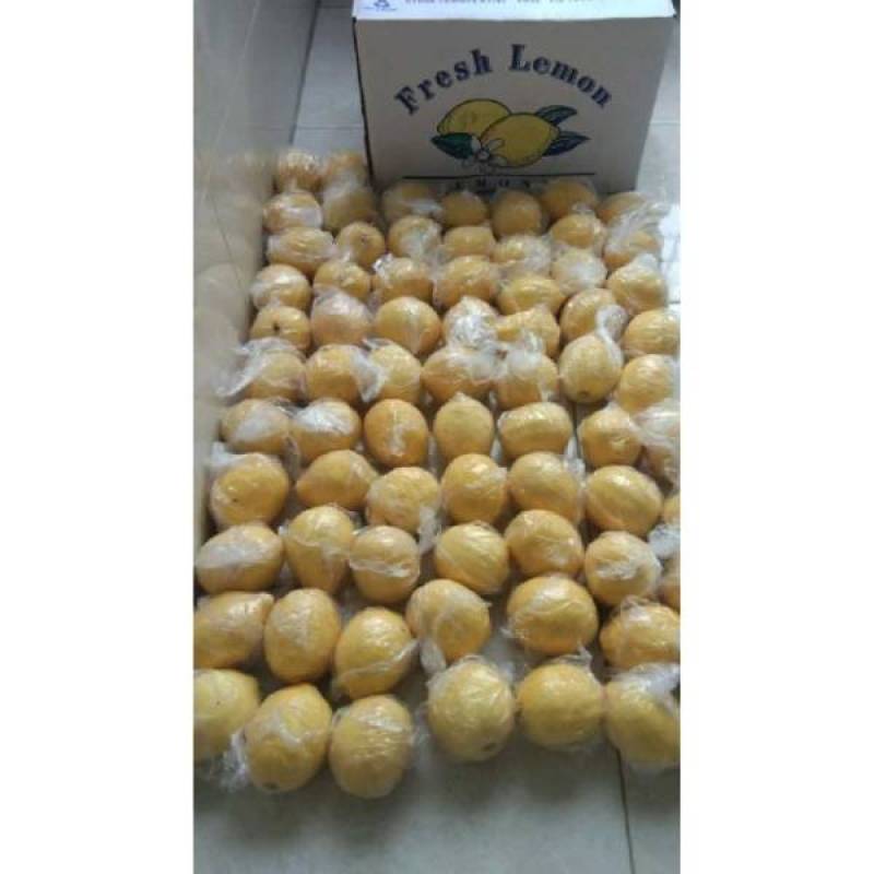 Jual Lemon China (KG) Halal di Seller Fresh Fruits - Karang Anyar, Kota ...