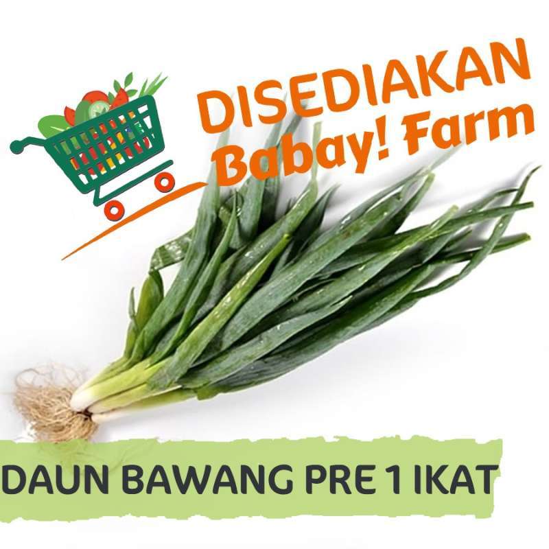 Promo Daun Bawang Pre 1 Ikat - 500 Gr Halal Diskon 10% Di Seller Babay ...