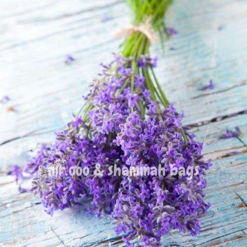 Jual Benih Edible Flower - Lavender - 100 Benih - Import Di Seller Mr ...